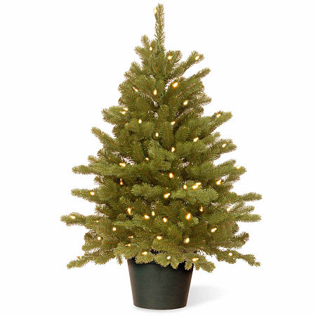 Click here for National Tree Co. Hampton Spruce Small Wrapped 3 F... prices