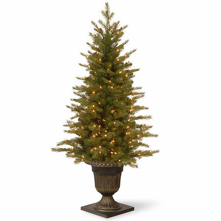 Click here for National Tree Co. Nordic Spruce Entrance 4 Foot Pr... prices