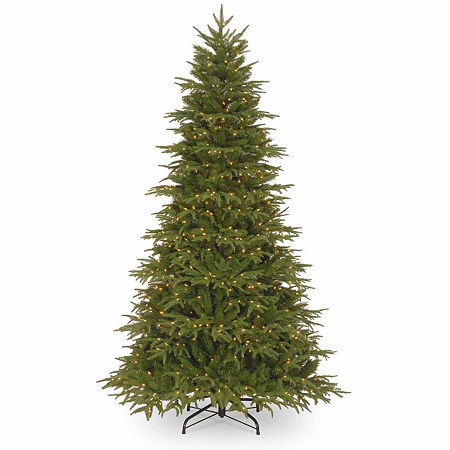 Click here for National Tree Co. Northern Frasier Hinged 7 1/2 Fo... prices