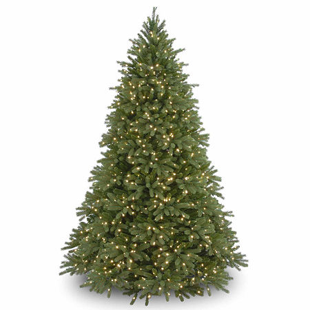 Click here for National Tree Co. Jersey Fraser Fir Hinged 9 Foot... prices