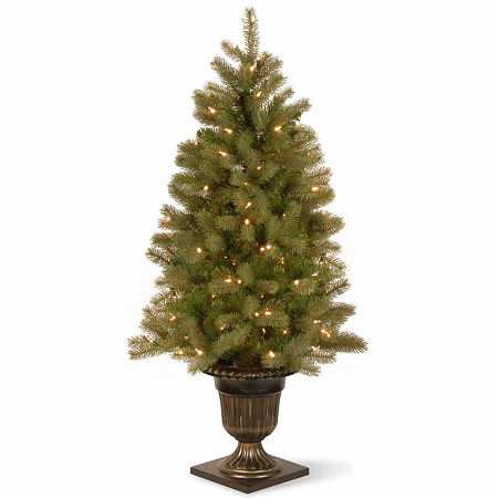 Click here for National Tree Co. Downswept Douglas Fir 4 Foot Pre... prices