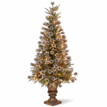 Click here for National Tree Co. Liberty Pine Potted 4 Foot Pre-L... prices