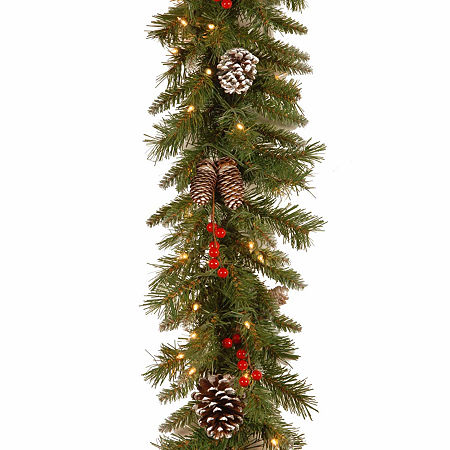 Click here for National Tree Company 9 x 10 Frosted Berry Garland... prices
