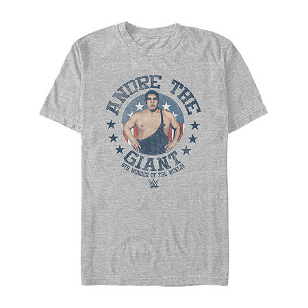 Click here for Mens Short Sleeve WWE Graphic T-Shirt  Small  Gray prices