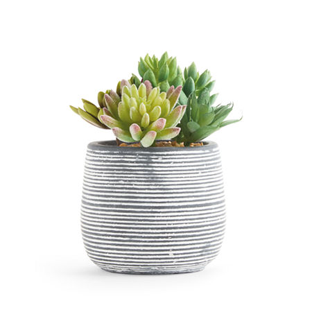 Click here for Linden Street 6in Mixed Succulent Artificial Plant... prices