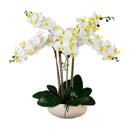 Click here for Nearly Natural 23in. White Phalaenopsis Orchid Flo... prices