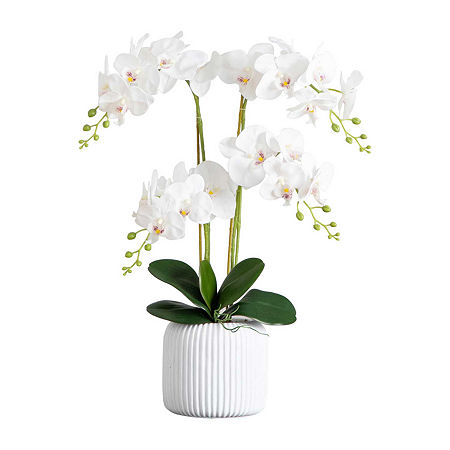 Click here for Nearly Natural 26in. White Phalaenopsis Orchid Flo... prices