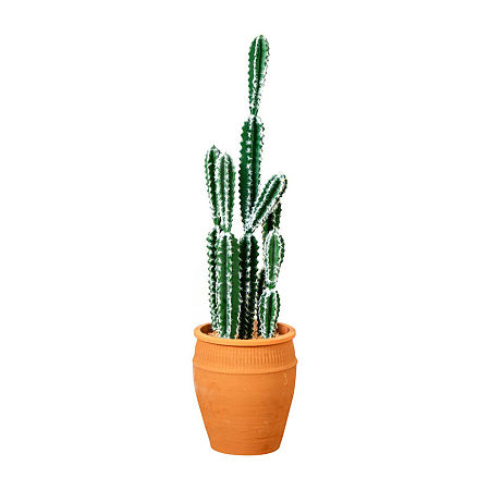 Click here for Nearly Natural 41in. Green Cactus Artificial Plant... prices