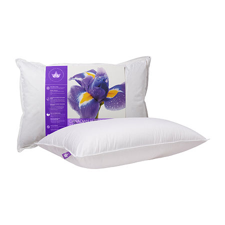 Click here for Canadian Down & Feather Company Hutterite Goose Do... prices