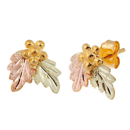 Click here for Landstroms Black Hills Gold 10K Gold Stud Earrings... prices