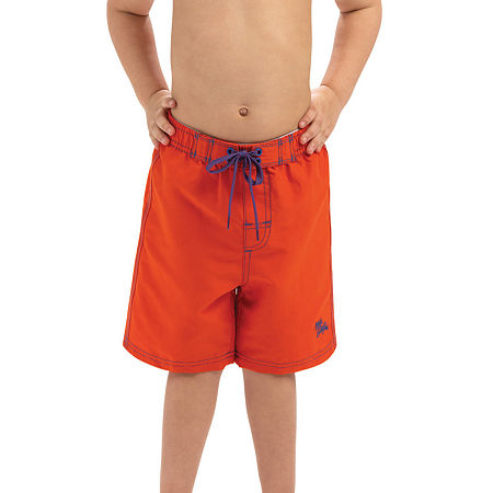 Click here for Dolfin Little Boys Quick Dry Swim Shorts  5  Orang... prices