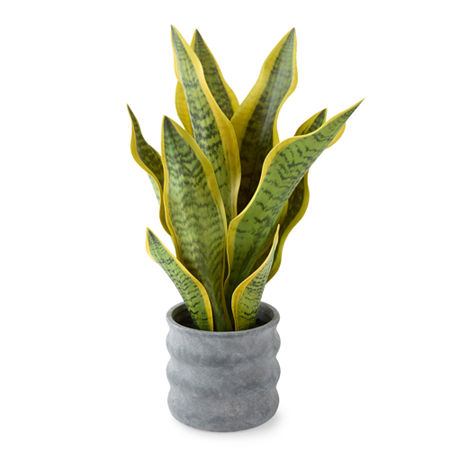 Click here for Linden Street 16in Snake Artificial Plant  One Siz... prices