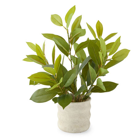 Click here for Linden Street 14.5in Rubber Fig Artificial Plant... prices