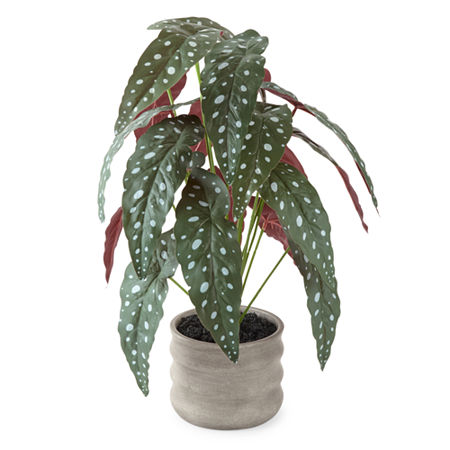 Click here for Linden Street 18.5in Polka Dot Begonia Artificial... prices