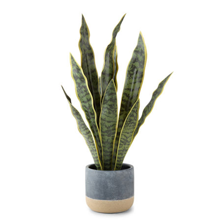 Click here for Linden Street 22.25in Snake Artificial Plant  One... prices