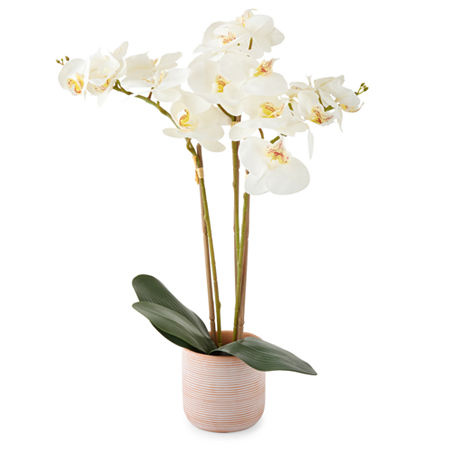 Click here for Linden Street 19in Orchid Artificial Plant  One Si... prices