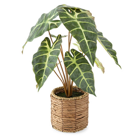 Click here for Linden Street 17in Alocasia Artificial Plant  One... prices