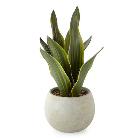Click here for Linden Street 12in Snake Artificial Plant  One Siz... prices