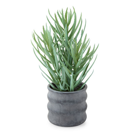 Click here for Linden Street 13.5in Aloe Artificial Plant  One Si... prices