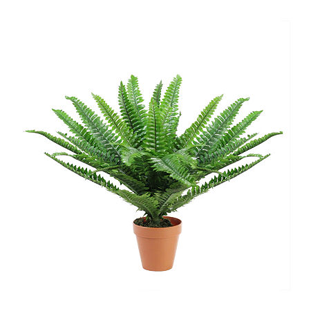 Click here for 17.5 Potted Artificial Tall Green Boston Fern Plan... prices