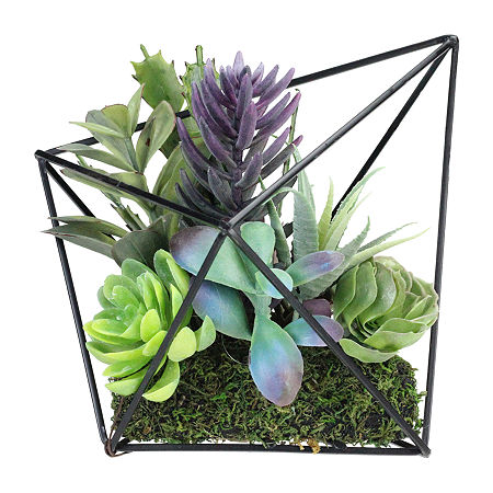 Click here for 6.75 Artificial Succulents Arrangement in Diamond... prices